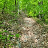 Taconic Crest Trail: NY 346 to US 20, New York - 31 Reviews, Map ...