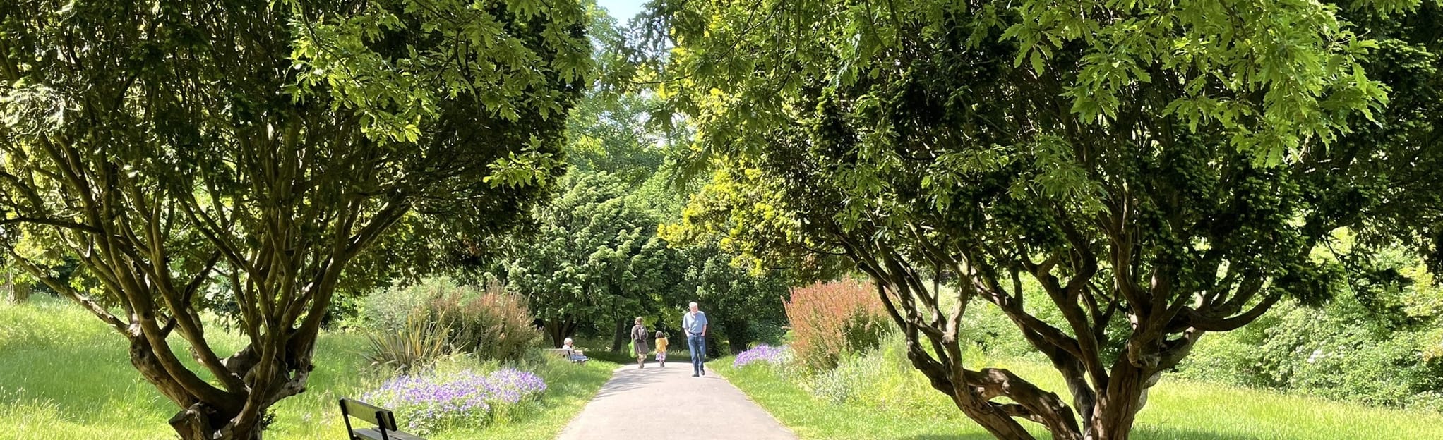 Capital Ring Walk Section 4: Crystal Palace to Streatham Common, London ...