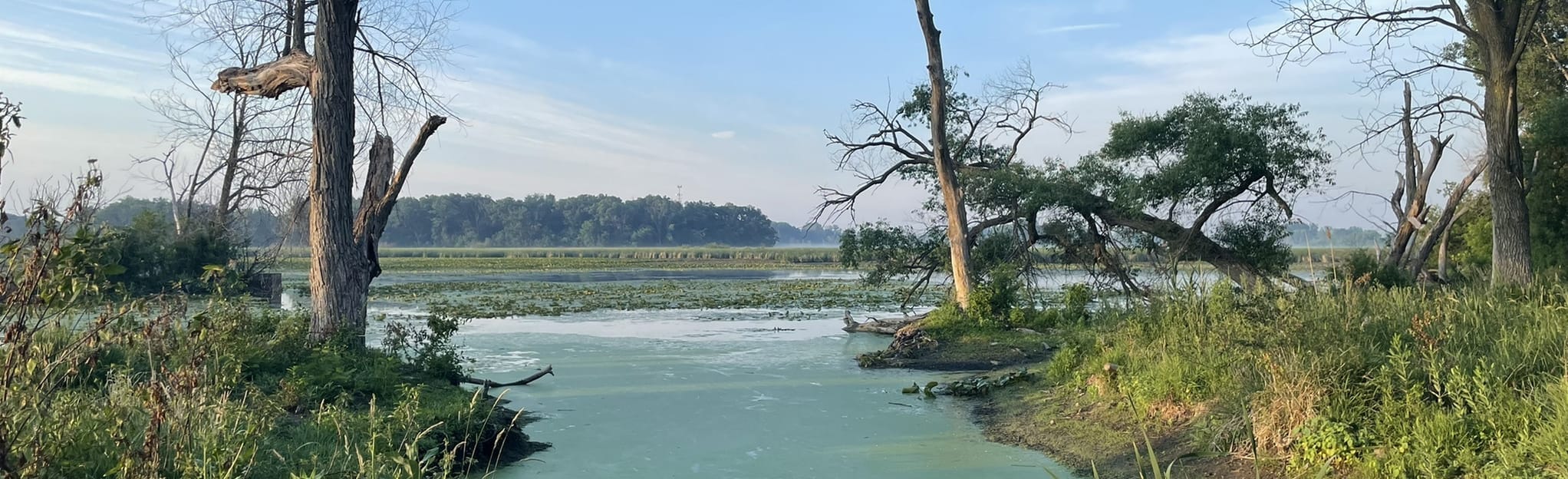 AllTrails | Exner Marsh Lot-to-Lot Trail: 132 Reviews, Map - Illinois