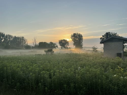 Best Hikes and Trails in Exner Marsh Conservation Area | AllTrails