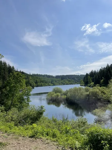 Best Camping Trails in Forbach | AllTrails