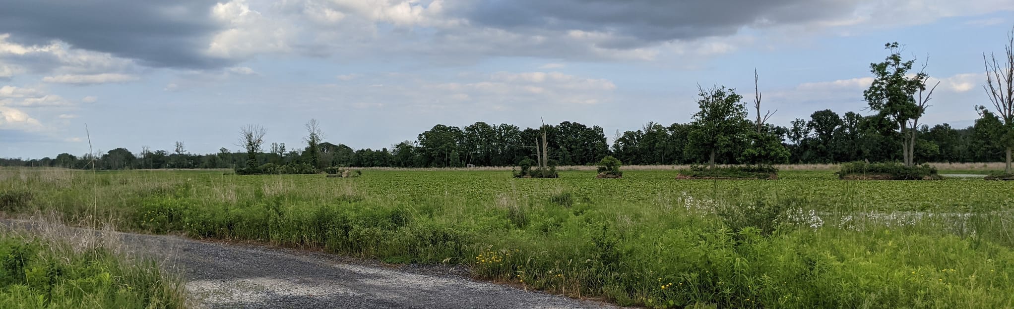 Seneca Meadows Wetlands Preserve: 74 Reviews, Map - New York | AllTrails