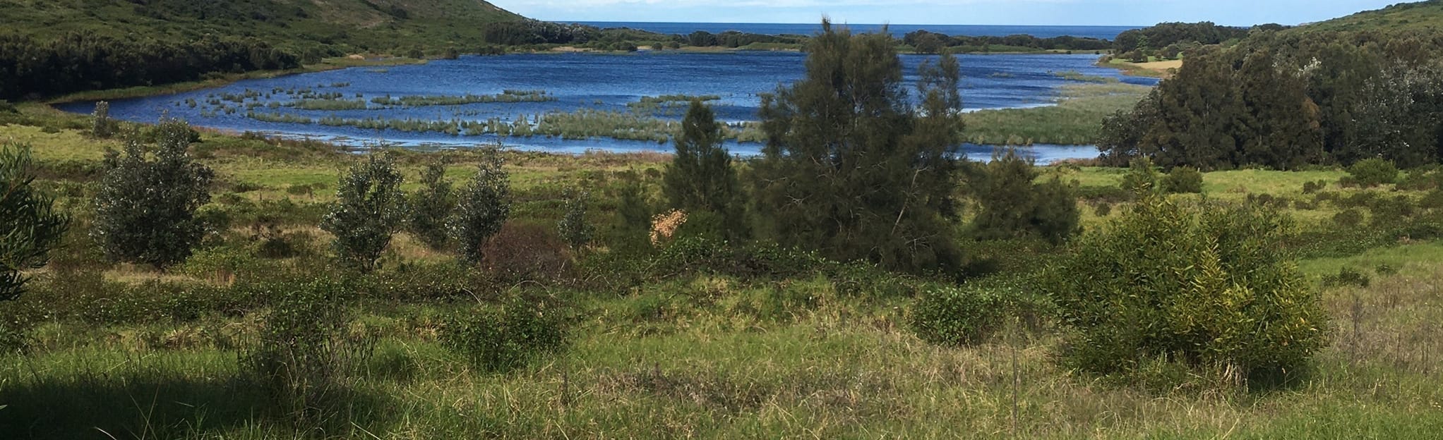 Federation and Killalea Lagoon Walk - New South Wales, Australia ...
