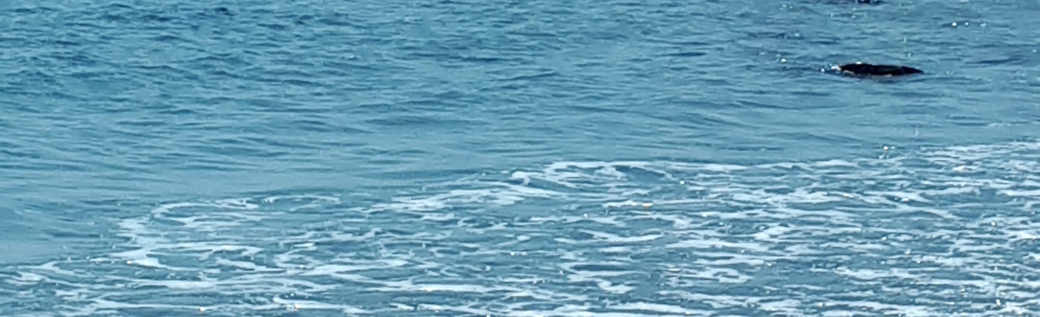 Bayswater Beach, Nova Scotia, Canada - 2 Reviews, Map | AllTrails