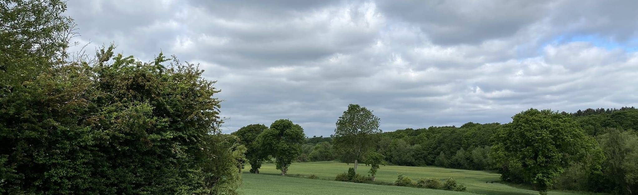 New Crofton and Walton Walk, West Yorkshire, England - 42 Reviews, Map ...