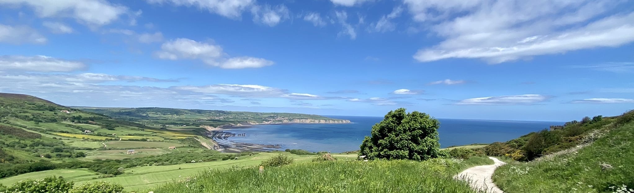 Ravenscar Coastal Path: 33 Reviews, Map - North Yorkshire, England ...