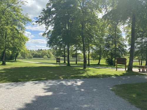 Best Hikes and Trails in Curraghchase Forest Par | AllTrails