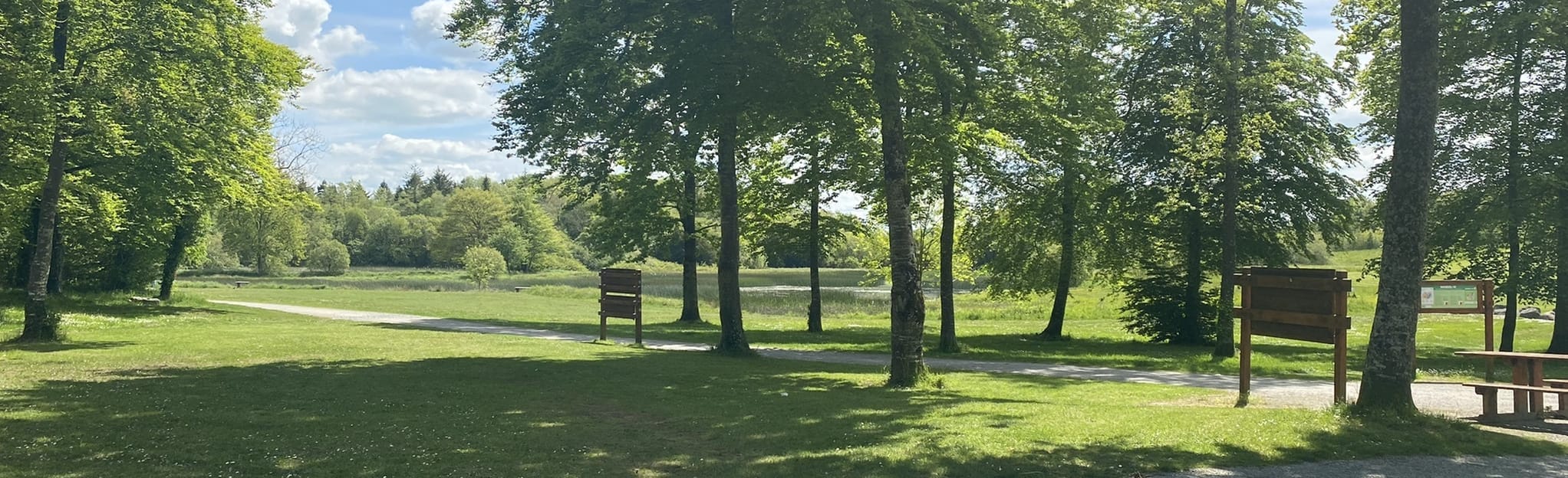 Curraghchase Forest Park Loop, County Limerick, Ireland - 5 Reviews ...