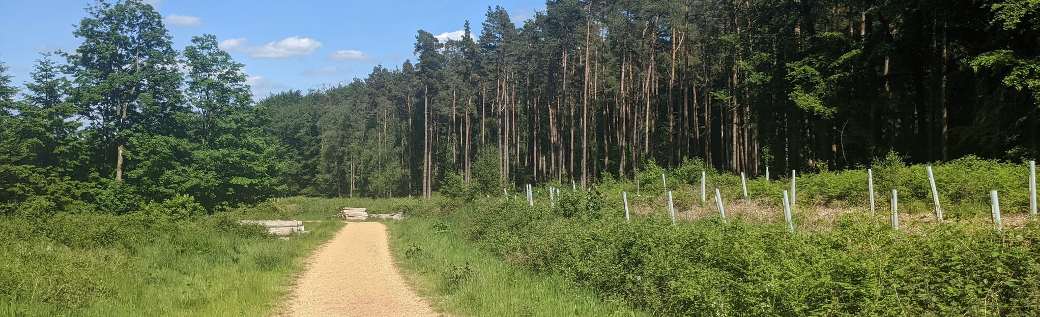 Chawton Park Wood Circular, Hampshire, England - 36 Reviews, Map ...