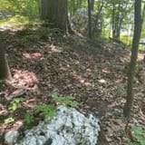 Lake Williams and Lake Redman, Pennsylvania - 180 Reviews, Map | AllTrails