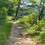 Lake Williams and Lake Redman, Pennsylvania - 169 Reviews, Map | AllTrails