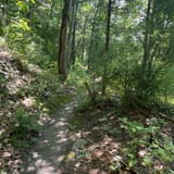 Lake Williams and Lake Redman, Pennsylvania - 171 Reviews, Map | AllTrails