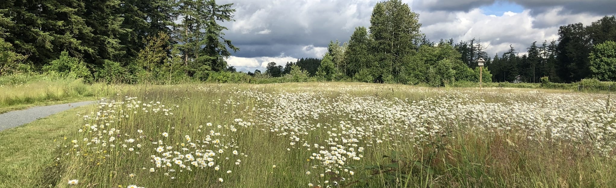 Jackman Wetlands Loop , British Columbia, Canada - 58 Reviews, Map ...