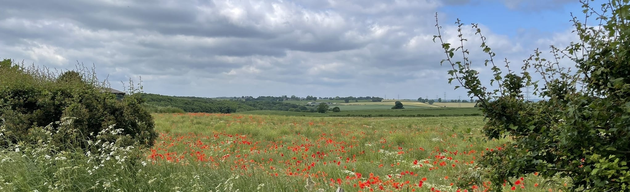 Milton to Carvers Rocks: 157 Reviews, Map - Derbyshire, England | AllTrails
