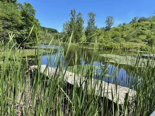 Best Hikes and Trails in Don Valley Brick Works Park | AllTrails