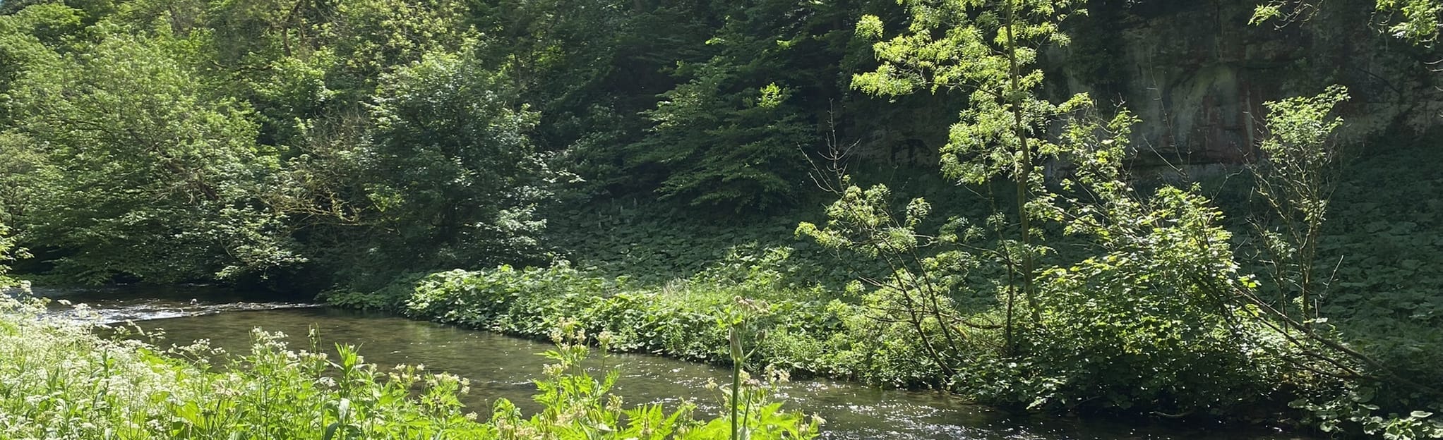 Tideswell - Millersdale - Tideswell Dale Circular, Derbyshire, England ...