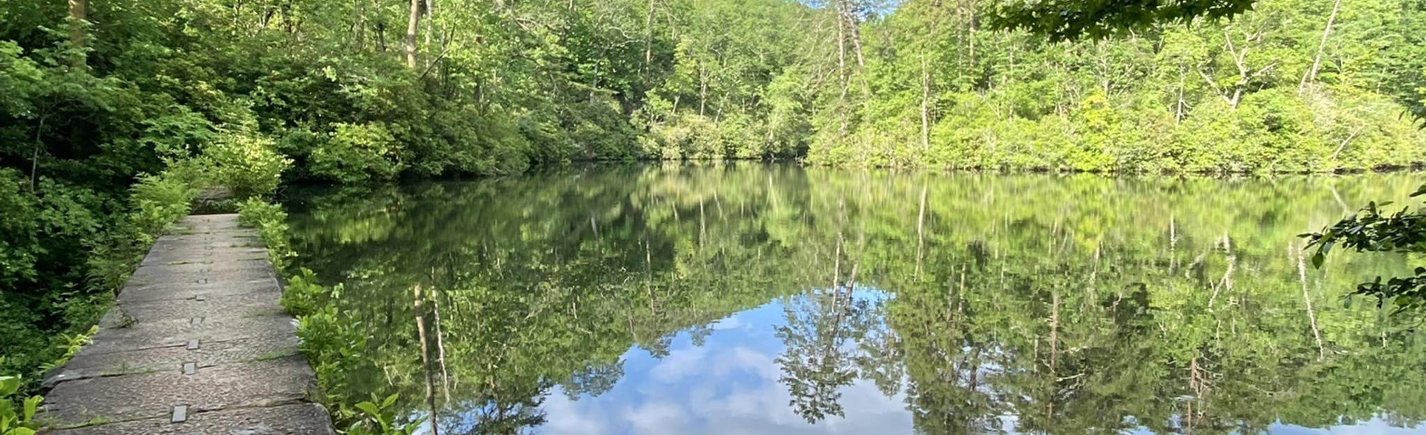 Paris Mountain State Park Loop Trail: 364 Reviews, Map - South Carolina ...