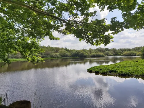 Best Hikes and Trails in Ashtead Common National Nature Reserve | AllTrails