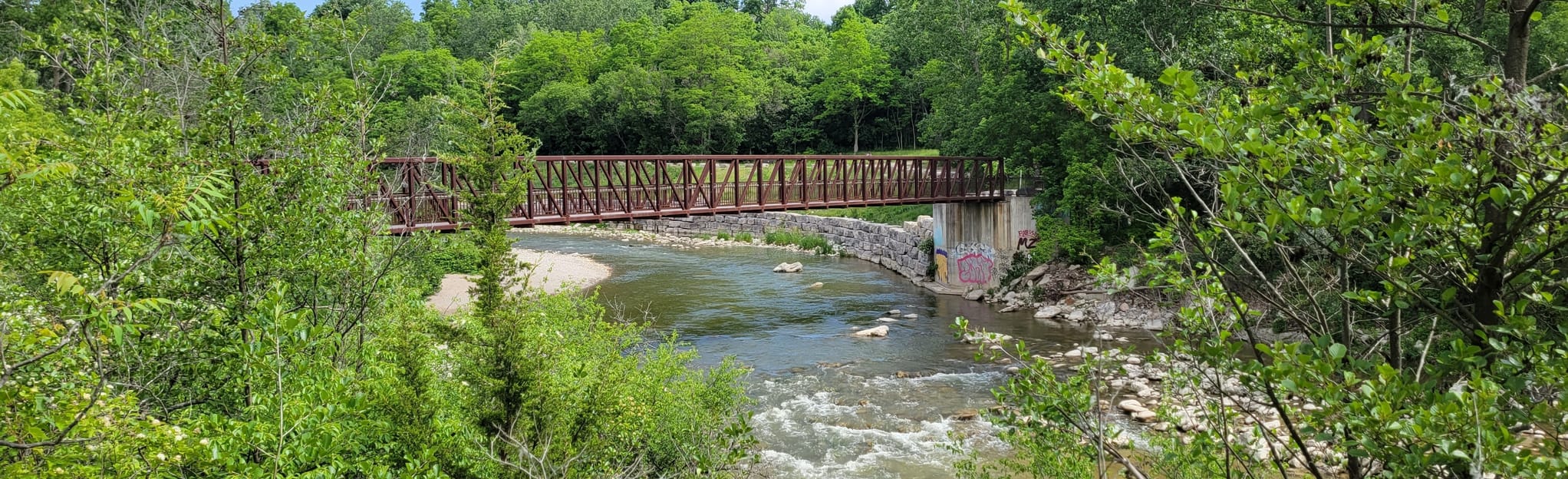 Barkers Bush Loop, Ontario, Canada - 141 Reviews, Map | AllTrails