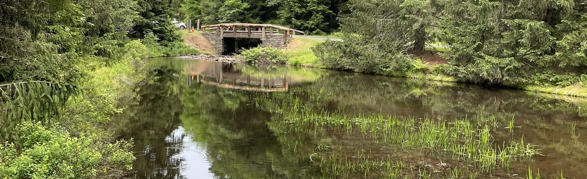 Sand Spring Trail, Pennsylvania - 289 Reviews, Map | AllTrails