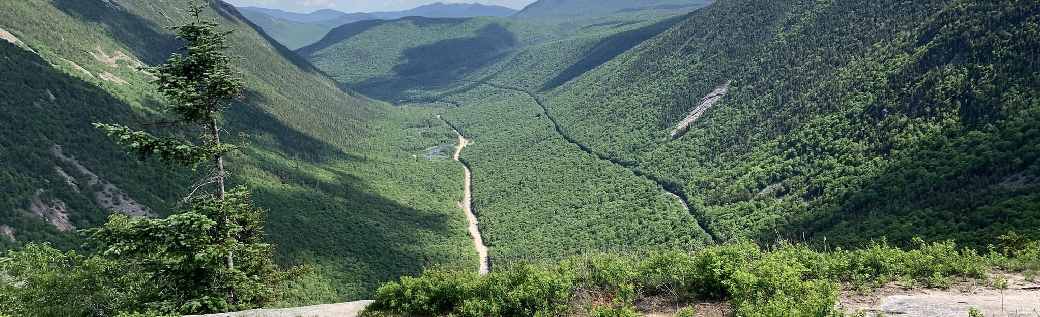 Mount Willard Trail: 6041 Reviews, Map - New Hampshire | AllTrails