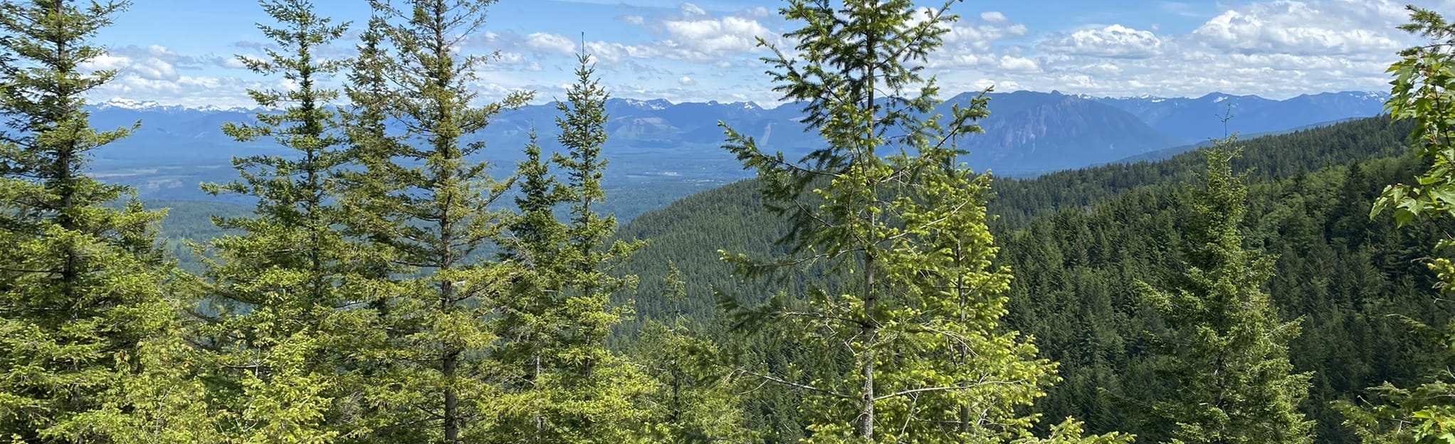 AllTrails | Nook, West Tiger RR Grade, Tiger Mountain Trail, and Cable ...