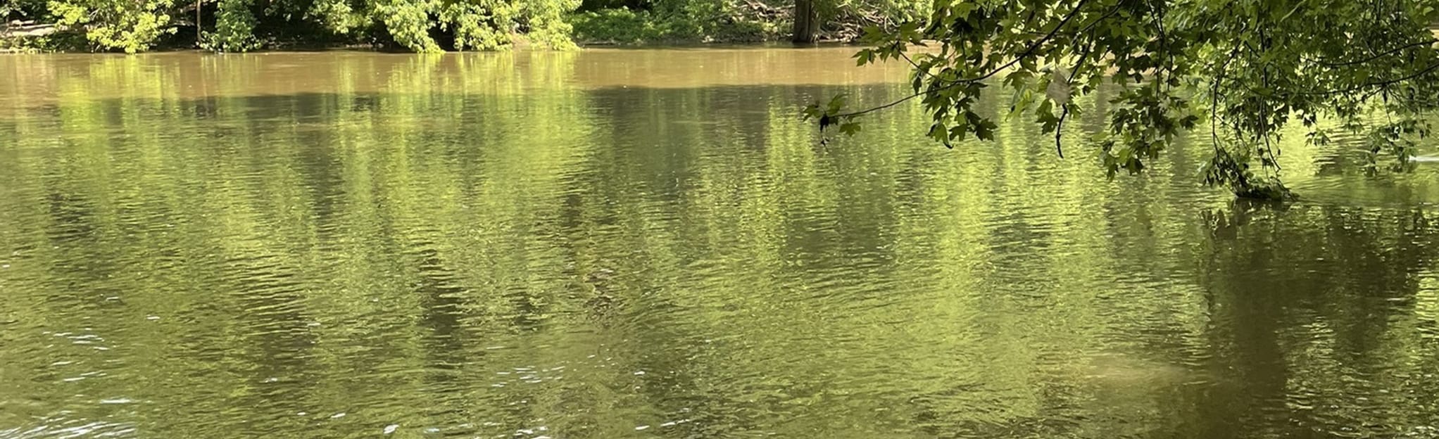 REI River Trail : 472 Reviews, Map - Ohio | AllTrails