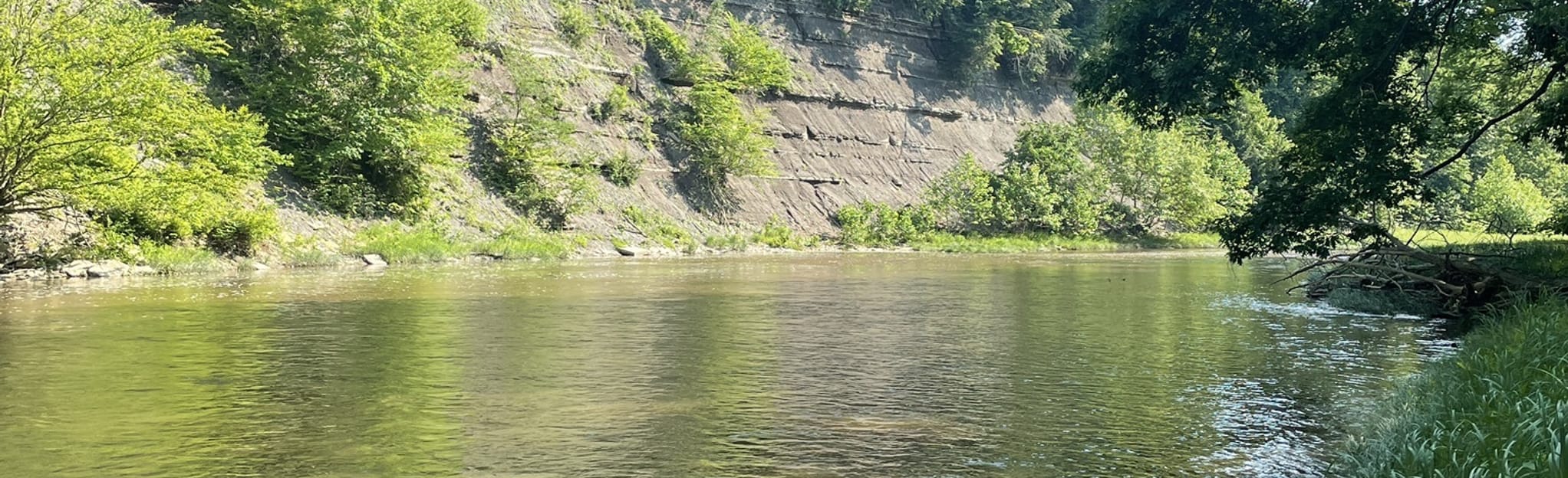 Big Oak Loop and River Bottom Trail, Ohio - 74 Reviews, Map | AllTrails