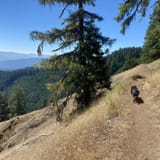 Tire Mountain Trail, Oregon - 149 Reviews, Map | AllTrails