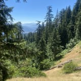 Tire Mountain Trail, Oregon - 149 Reviews, Map | AllTrails
