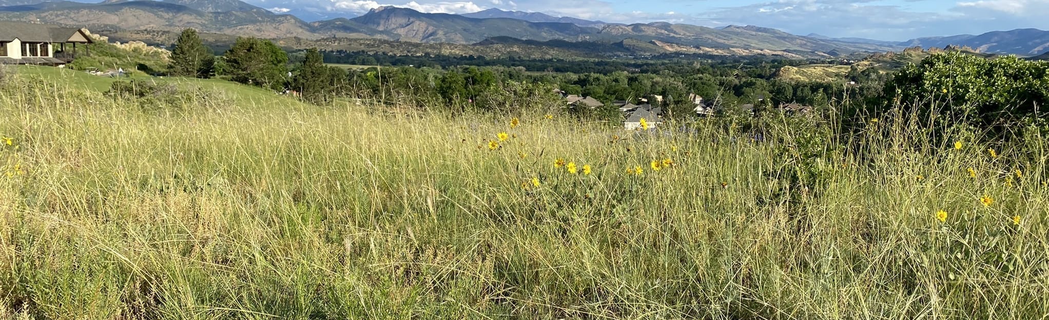 Mariana Butte Hogback Trail, Colorado - 160 Reviews, Map | AllTrails