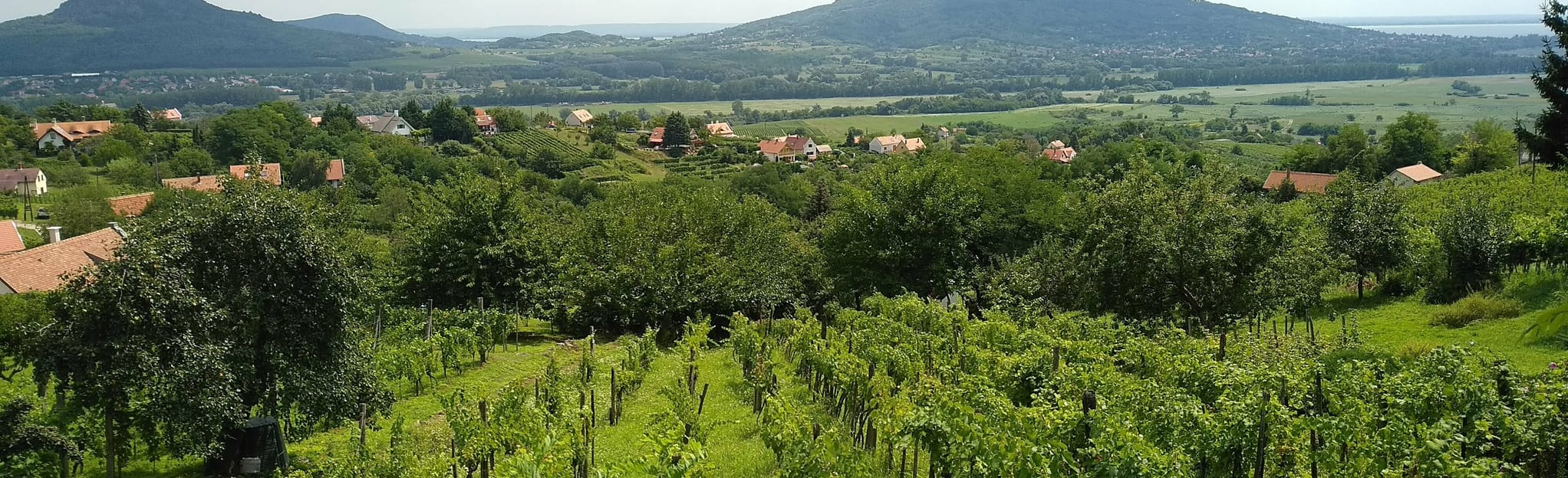 Hungarian National Blue Trail (OKT): Stage 5: Tapolca ...