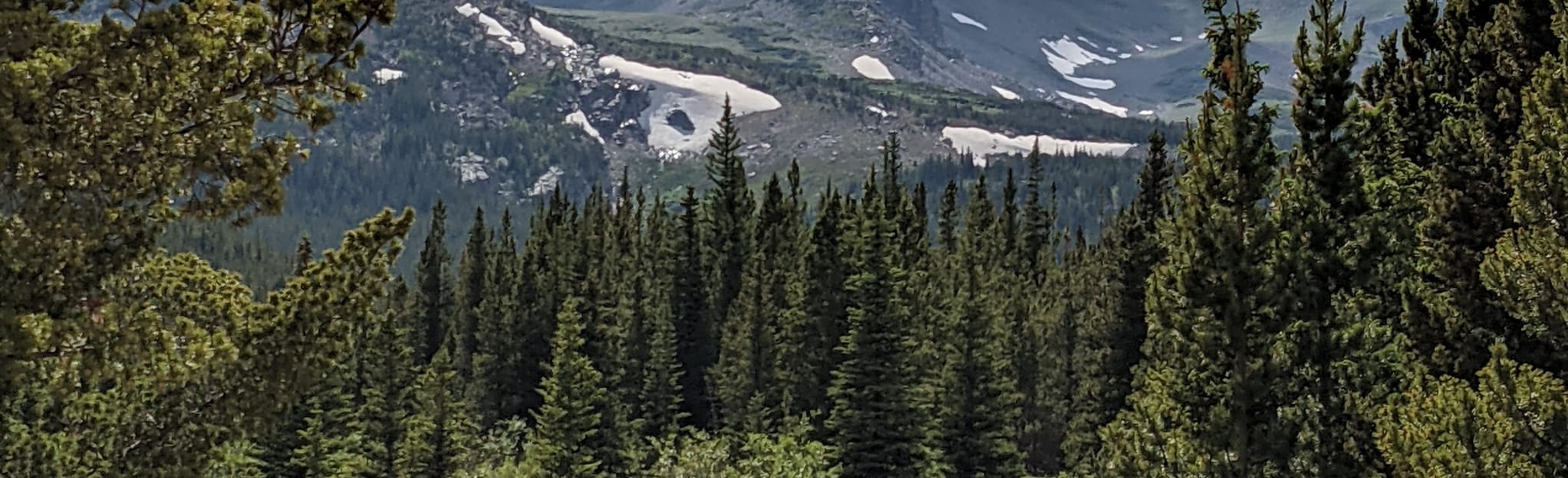 Middle St Vrain Trail and Coney Creek OHV Trail: 82 Reviews, Map ...