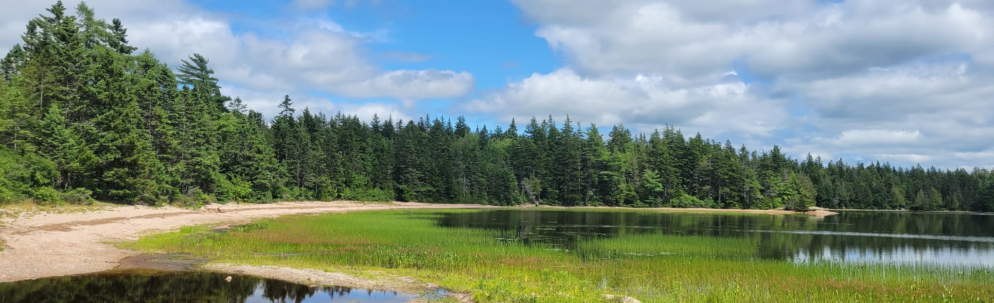 Moose Lake: 3 Reviews, Map - New Brunswick, Canada | AllTrails