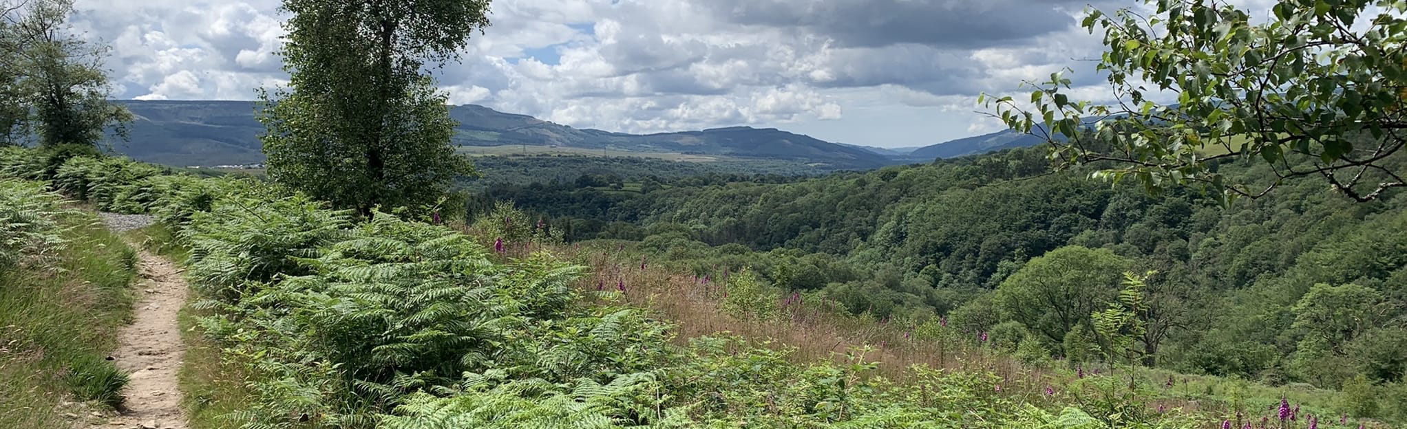 Pontneddfechan and Ystradfellte Waterfalls Circular, Powys, Wales - 293 ...