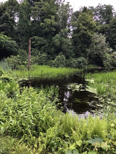 Best Hikes and Trails in Farm Pond Park | AllTrails