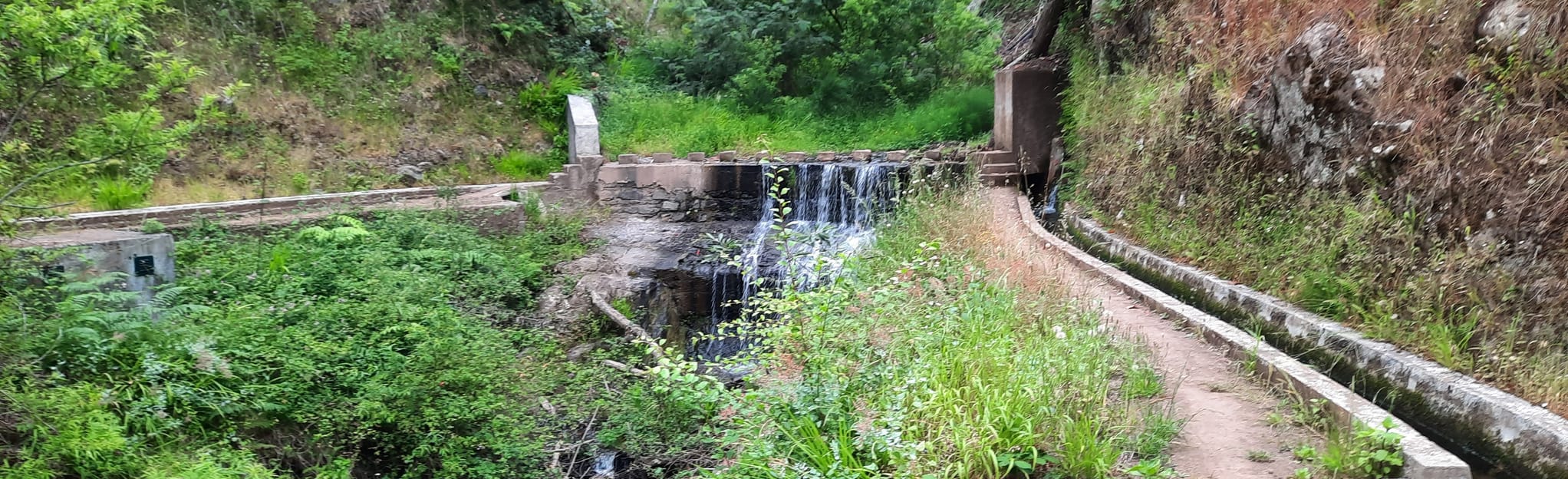 Canhas - Levada Nova, Madeira, Portugal - 11 Reviews, Map | AllTrails