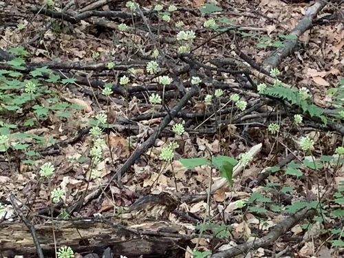 Best Hikes and Trails in Coy Mountain Preserve | AllTrails