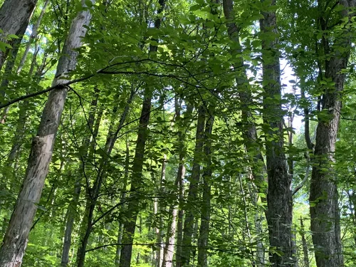 Best Hikes and Trails in Coy Mountain Preserve | AllTrails