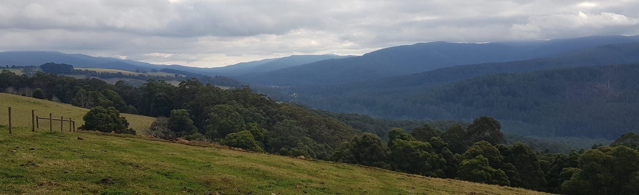 Noojee South Loop, Victoria, Australia - 24 Reviews, Map | AllTrails