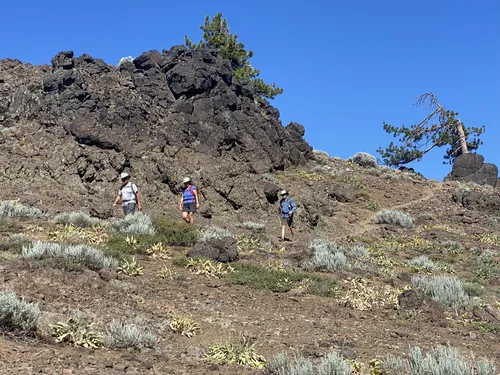 Best Hikes and Trails in Butte Meadows | AllTrails