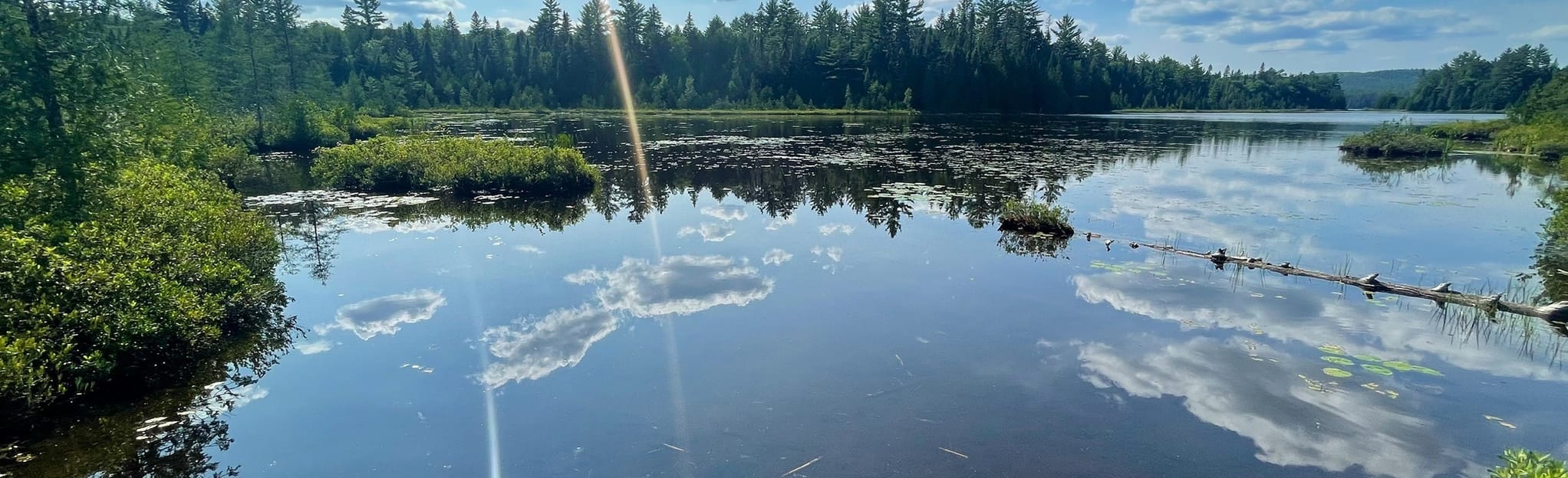 Dixie Trail: 13 Reviews, Map - Ontario, Canada | AllTrails