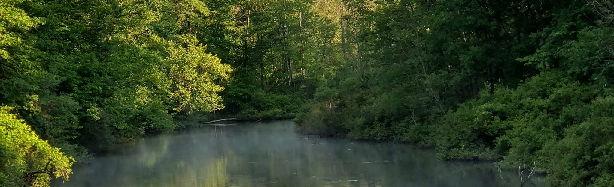 Huron River Kayak Route, Michigan - 36 Reviews, Map | AllTrails