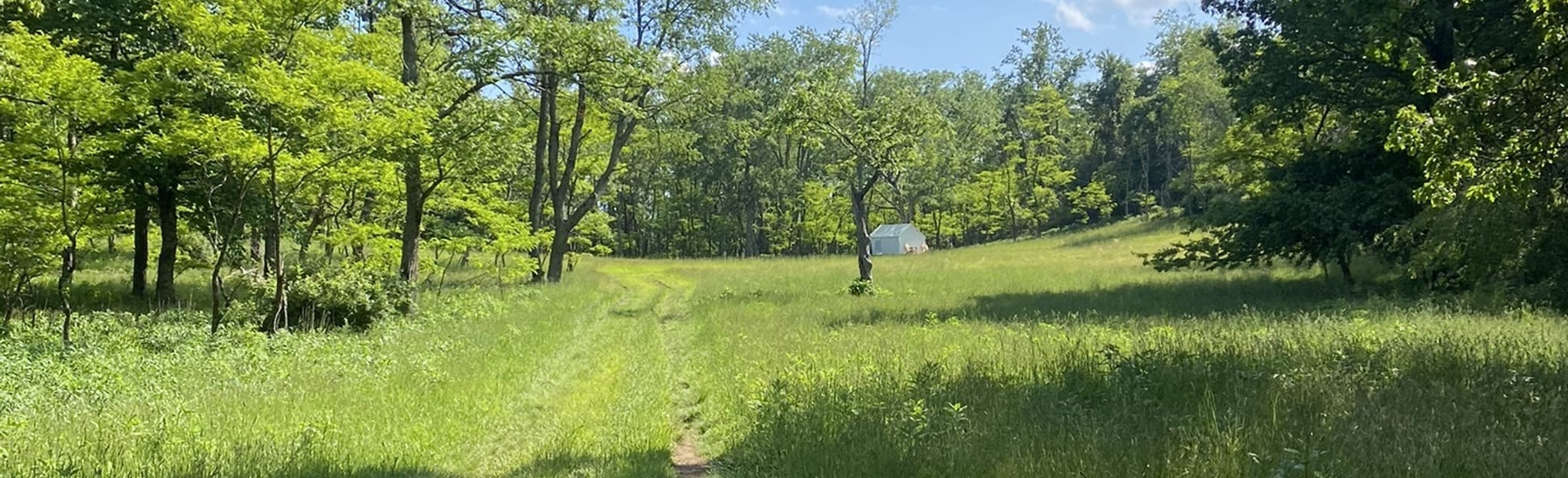 Big Ridge Trail, West Virginia - 27 Reviews, Map | AllTrails