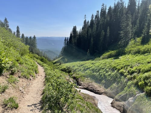 Best 10 Hikes and Trails in Mount Hood National Forest | AllTrails