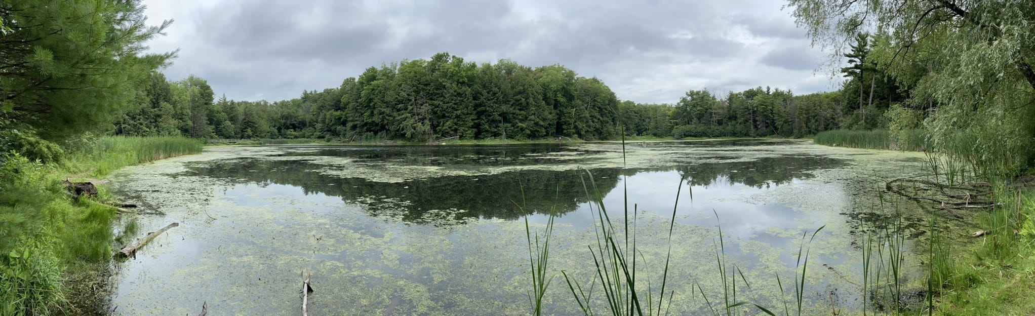 Huron and Woodland Trail Loop, Ontario, Canada - 307 Reviews, Map ...