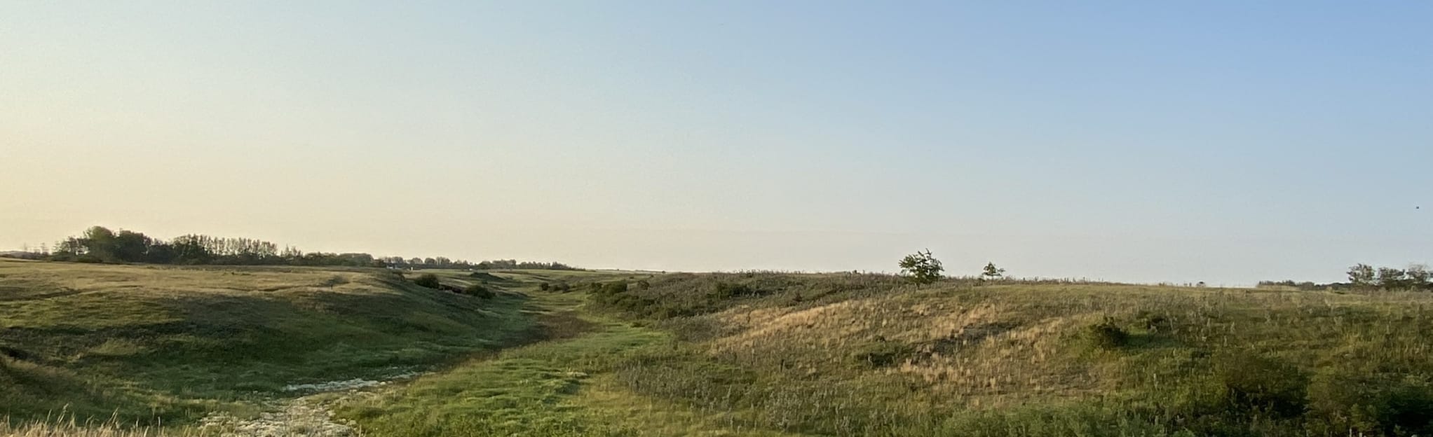 AllTrails | Rowan's Ravine Full Loop: 21 Reviews, Map - Saskatchewan ...