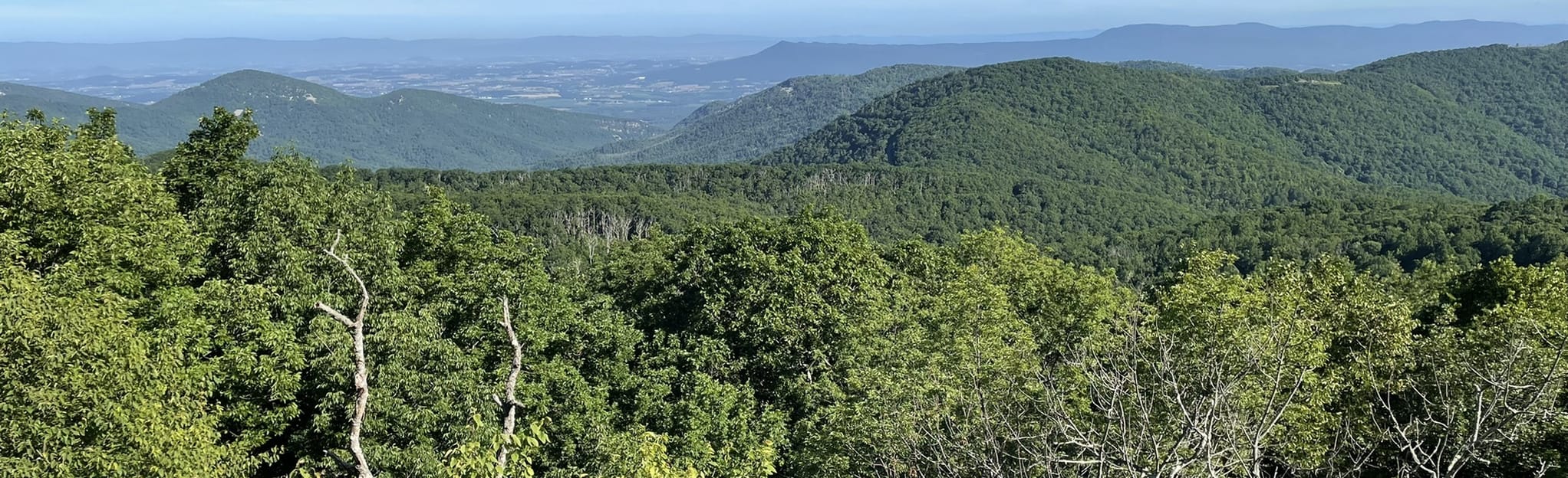Loft Mountain Loop via Frazier Discovery and Appalachian Trail ...