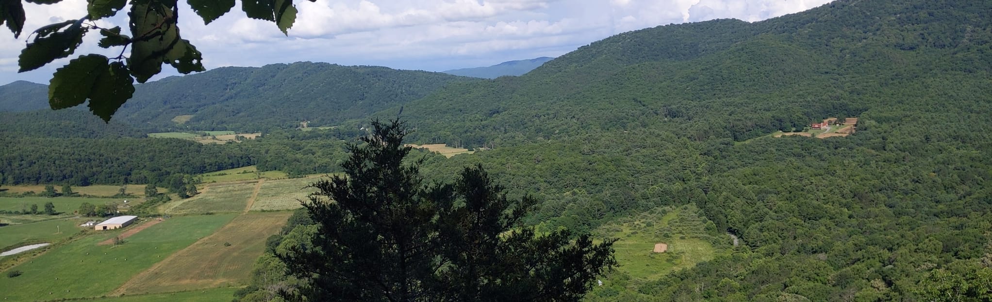 Blue Bend Loop Trail, West Virginia - 98 Reviews, Map | AllTrails