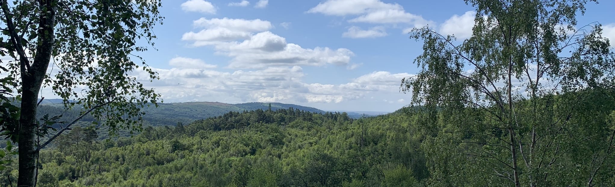 Grizedale Tarn Trail: 23 Reviews, Map - Cumbria, England | AllTrails